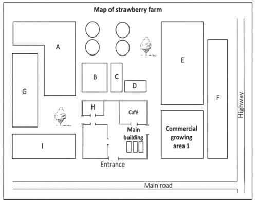Talk to new employees at a strawberry farm