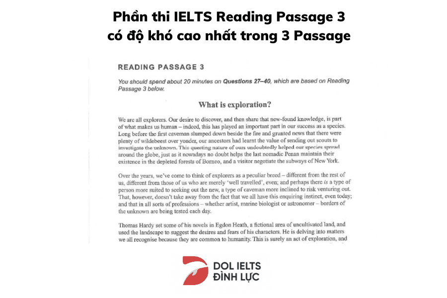 Tổng hợp đề thi IELTS Reading có đáp án chi tiết mới nhất